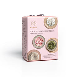 Get NestBloom Bird's Nest Soup/Dessert (Rose,Matcha,Vanilla,Almond ...