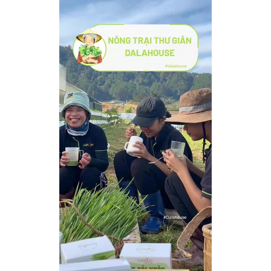 Get DALA HOUSE HOUTTUYNIA CORDATA POWDER Delivered | Weee! Asian Market